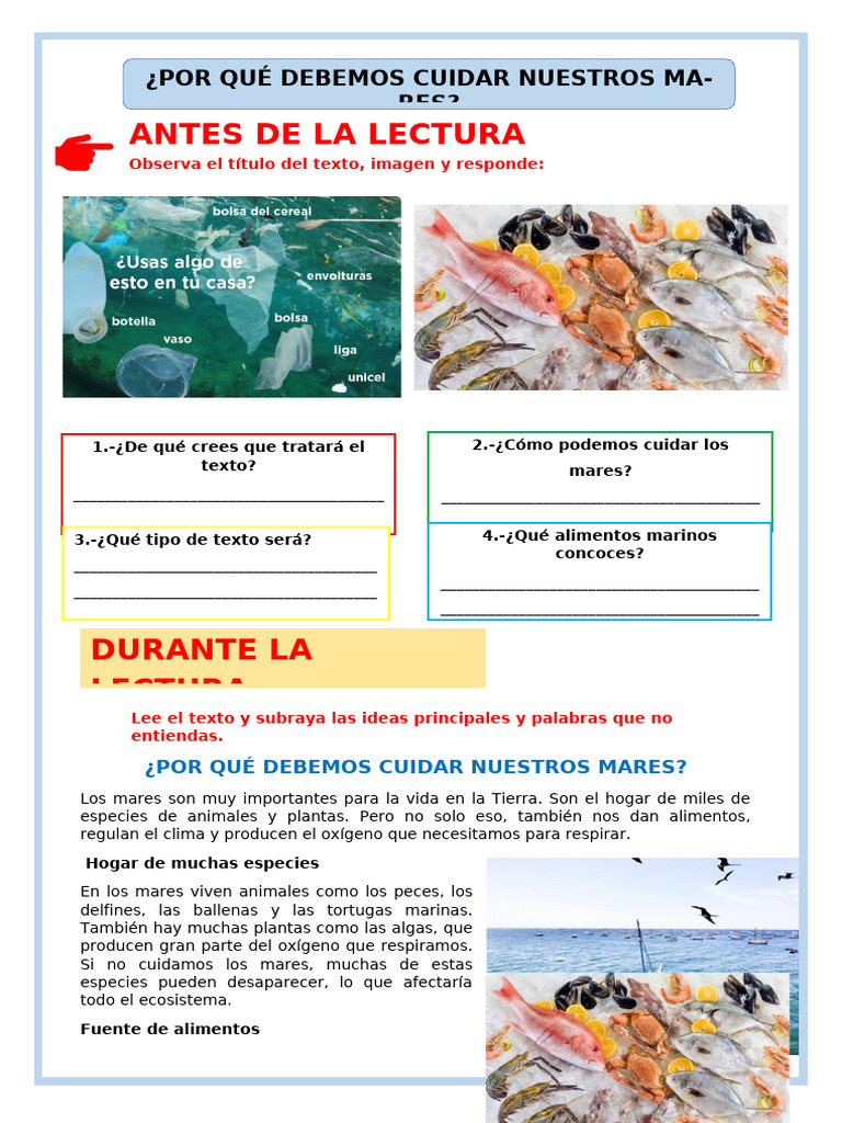 Ficha Comunicacion 10 Octubre | PDF | Mar | Agua