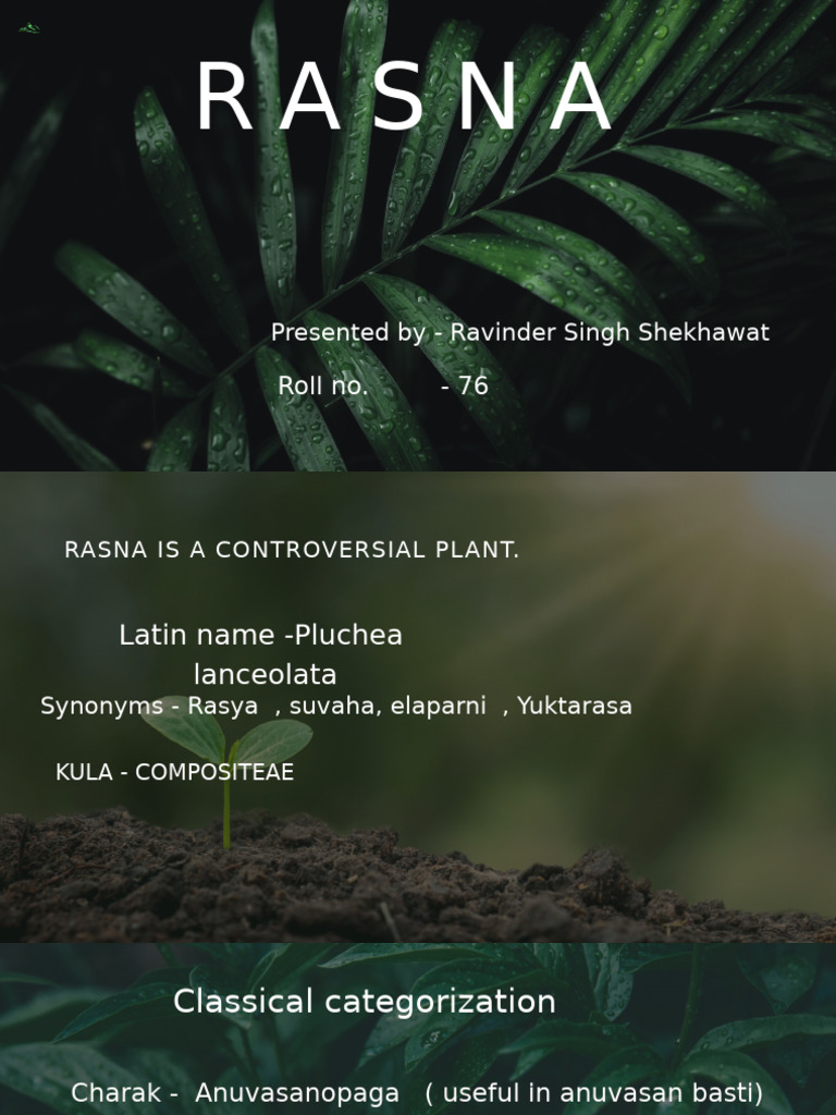 Ravinder Singh Shekhawat 20240703 215532 0000 | PDF