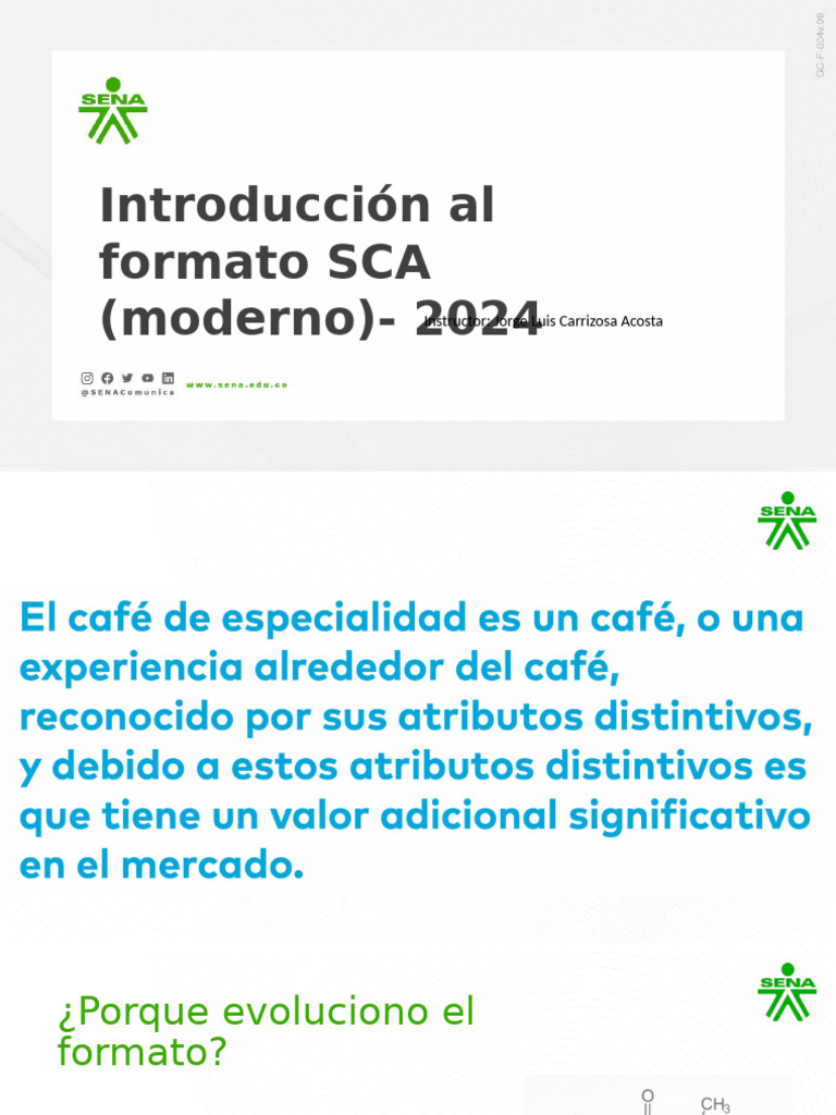 Formato SCA 2024 | PDF | café | Evaluación