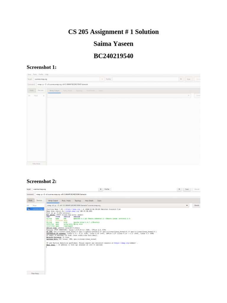 MRK - Fall 2024 - CS205 - 1 | PDF
