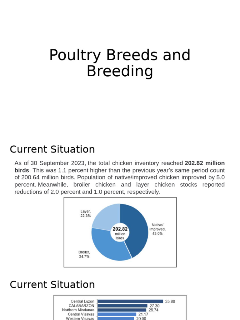 Poultry Carcass Dressing Procedure | PDF | Chicken | Poultry