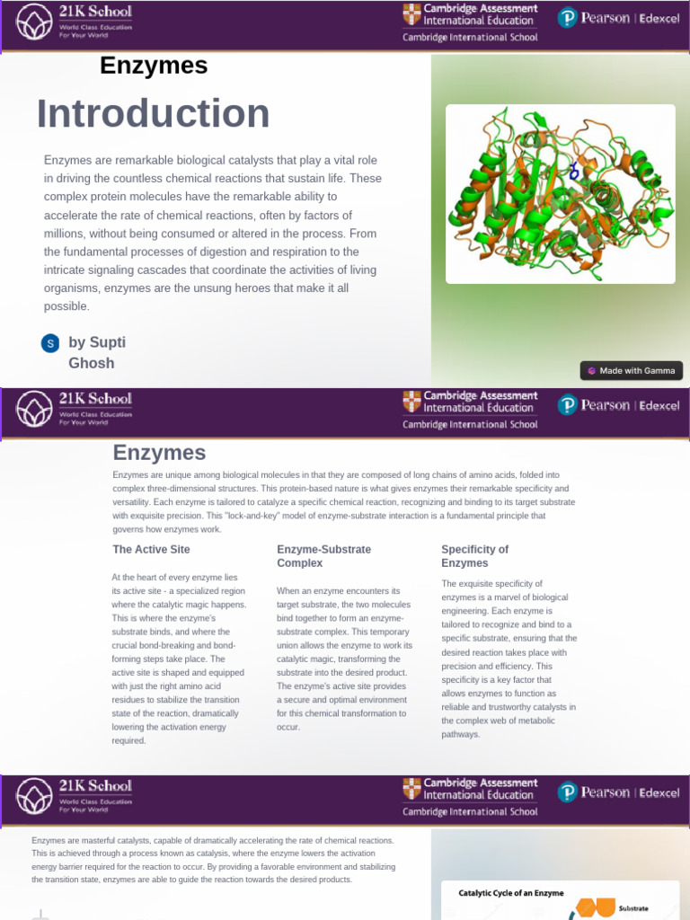 Understanding Enzymes and Their Functions | PDF | Enzyme | Active Site