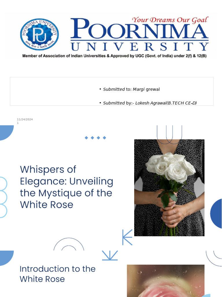 White Rose | PDF