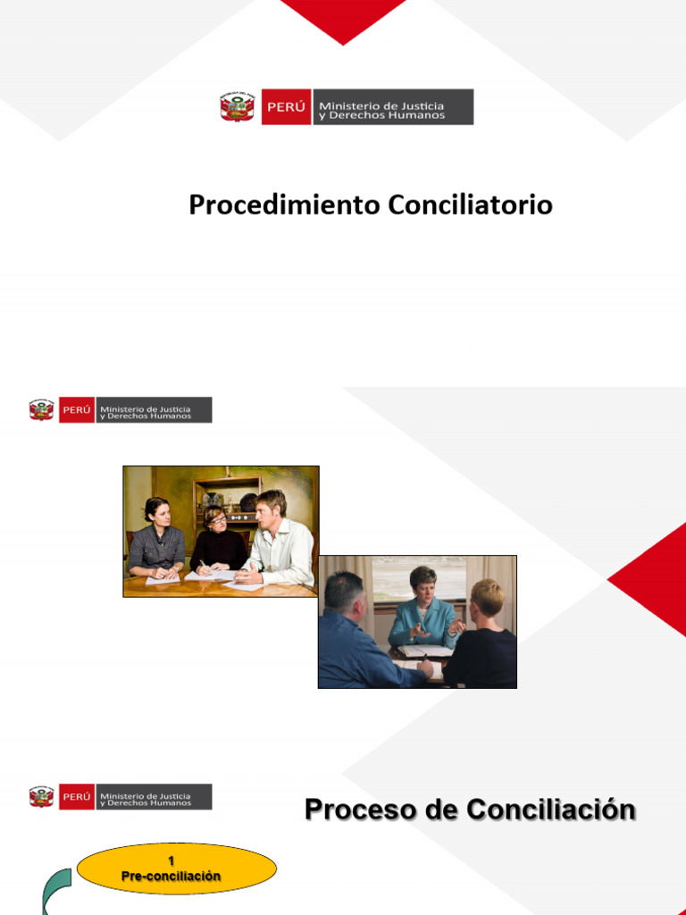 Procedimiento Conciliatorio ENCE 2020 | PDF | Justicia | Crimen y violencia