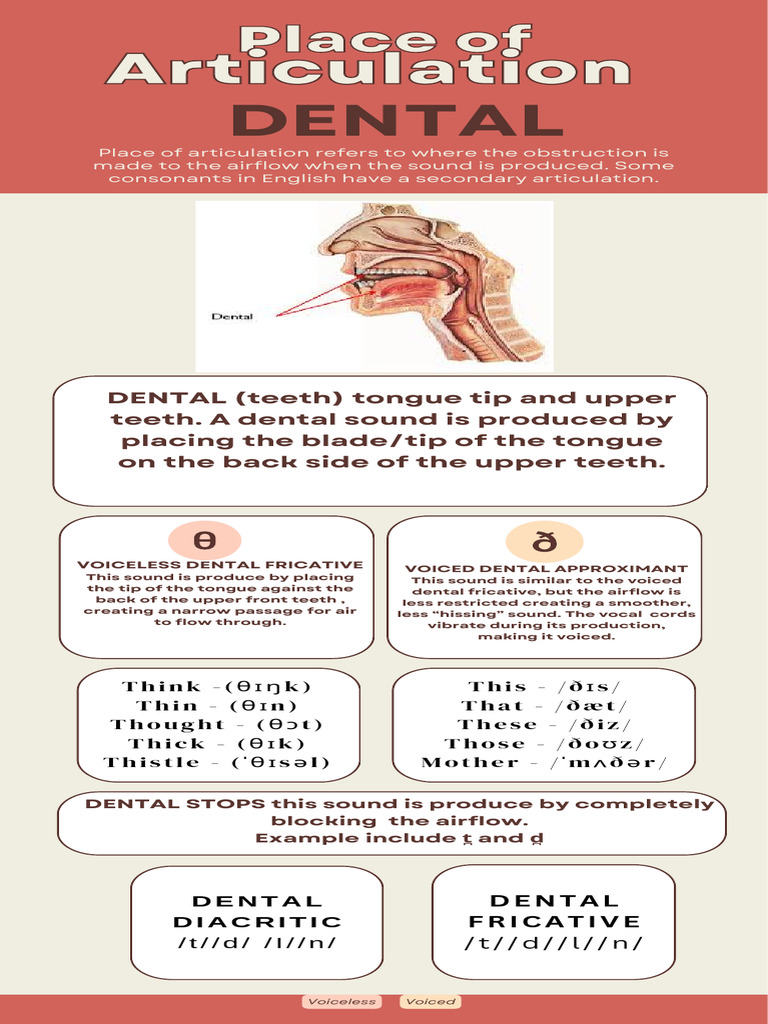 Red & Orange Outlined Place of Articulation English Consonants ...