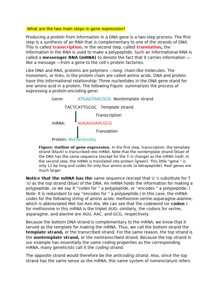 GENE Function | PDF | Gene | Dna
