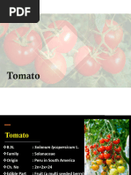 Solanaceous Vegetable Crops | PDF