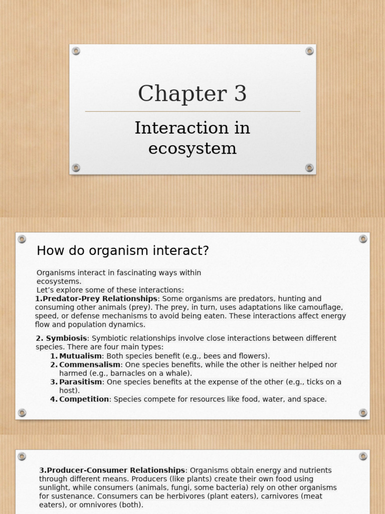 Chapter 3 Jerry Ecosystem | PDF | Food Web | Predation
