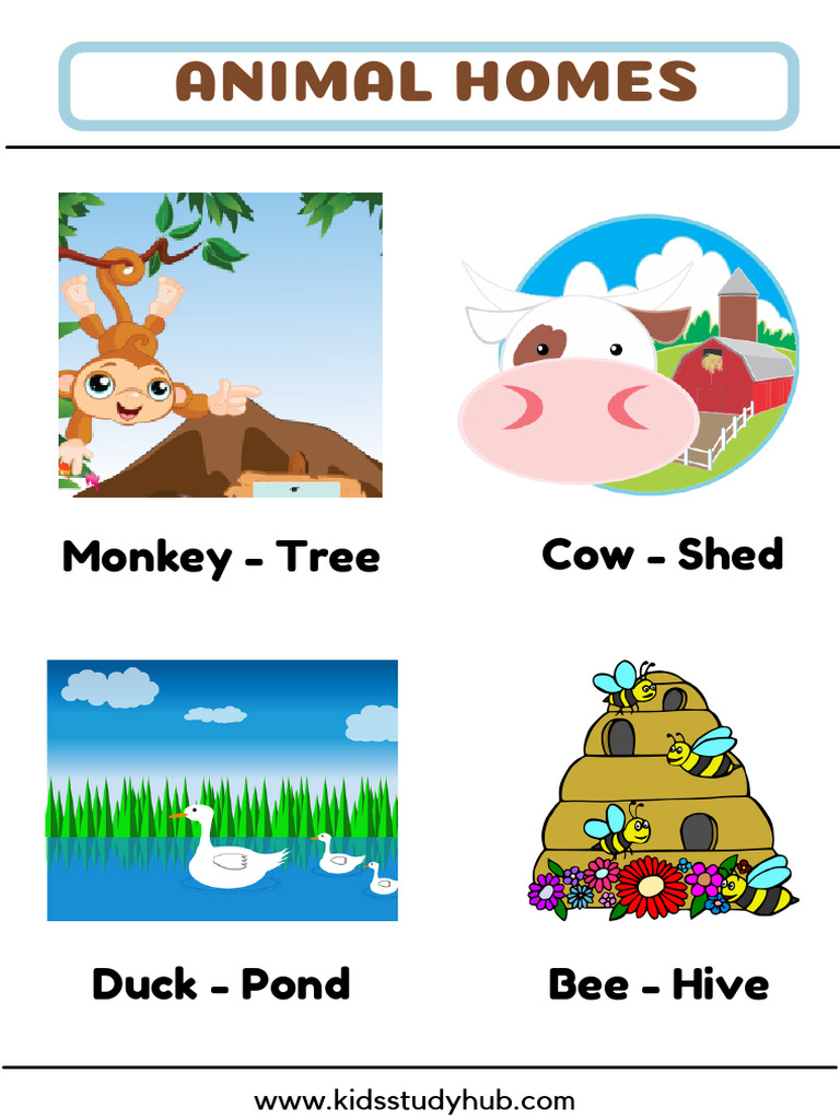 Animal Homes Worksheet for Preschool | PDF