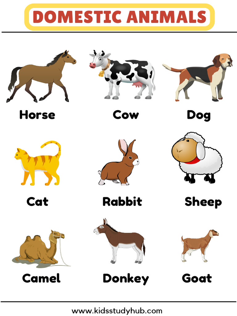 Domesticanimalschart | PDF