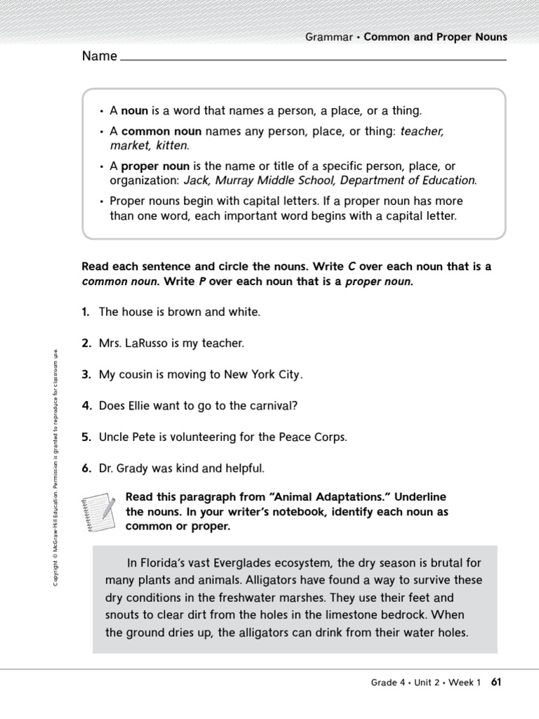 Common and Proper Nouns Worksheet | PDF | Linguistics | Linguistic ...