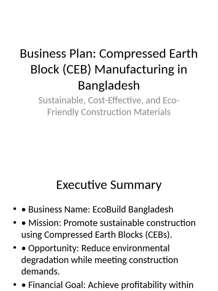 CEB Business Plan Visual Placeholders | PDF | Swot Analysis | Economies