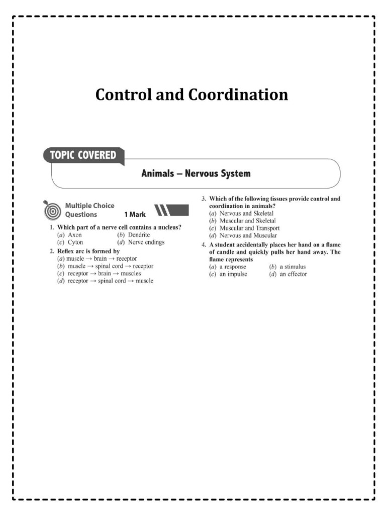 Ch6 Control and Coordination | PDF
