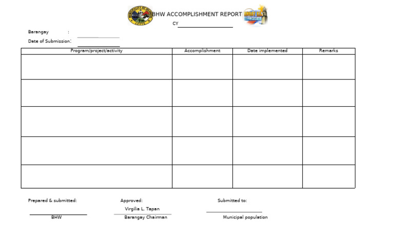 BHW ACCOMPLISHMENT REPORT | PDF