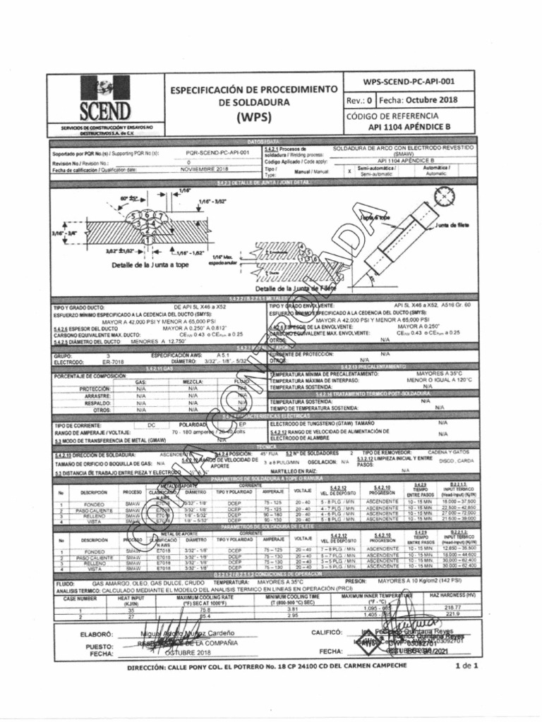 WPS | PDF