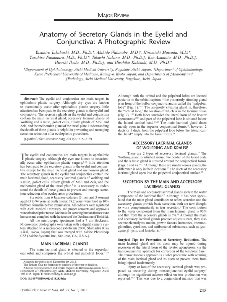 Anatomy of Secretory Glands in The Eyelid and Conjunctiva | PDF | Human ...