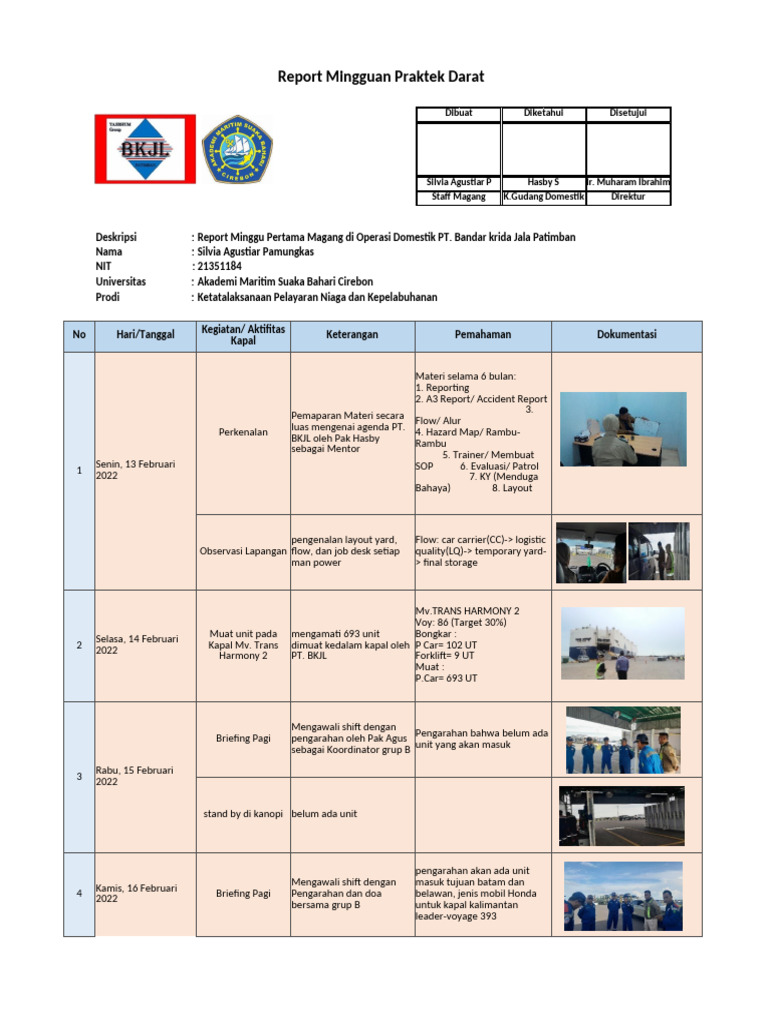 Report Mingguan Domestik Magang Silvi | PDF