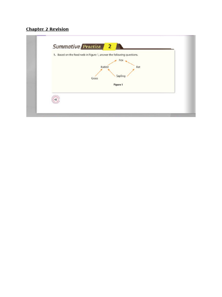 Chapter 2 Revision | PDF