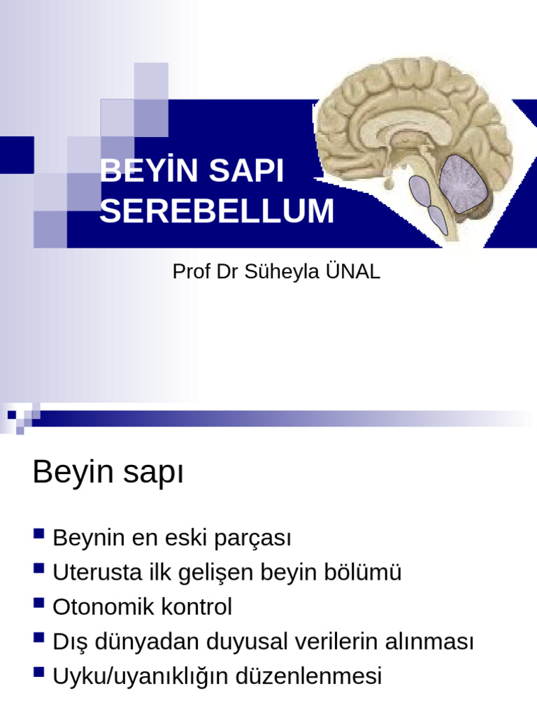 Sere Bell Umbs | PDF