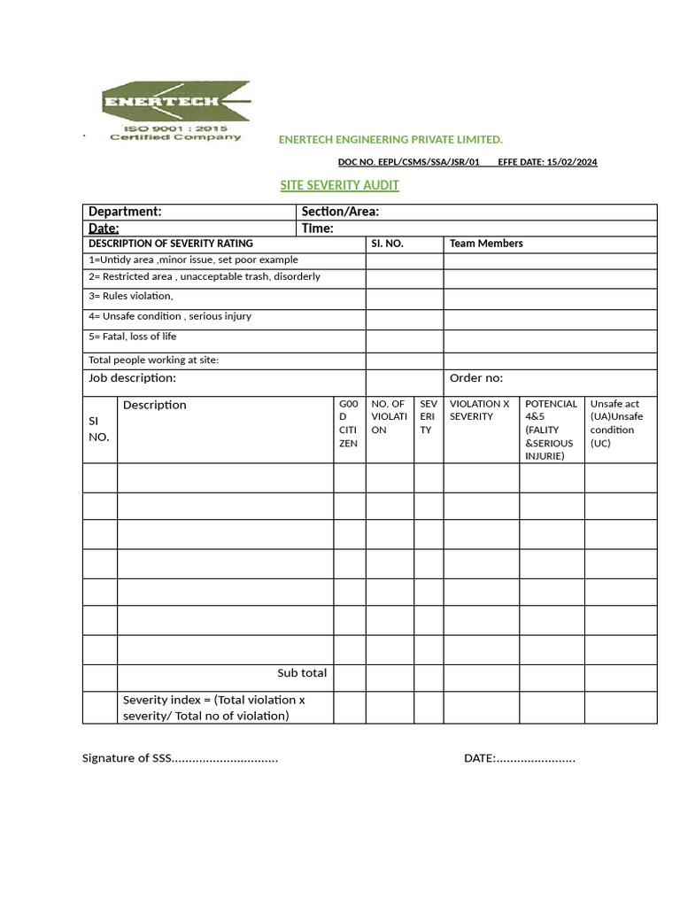 Site severity audit | PDF