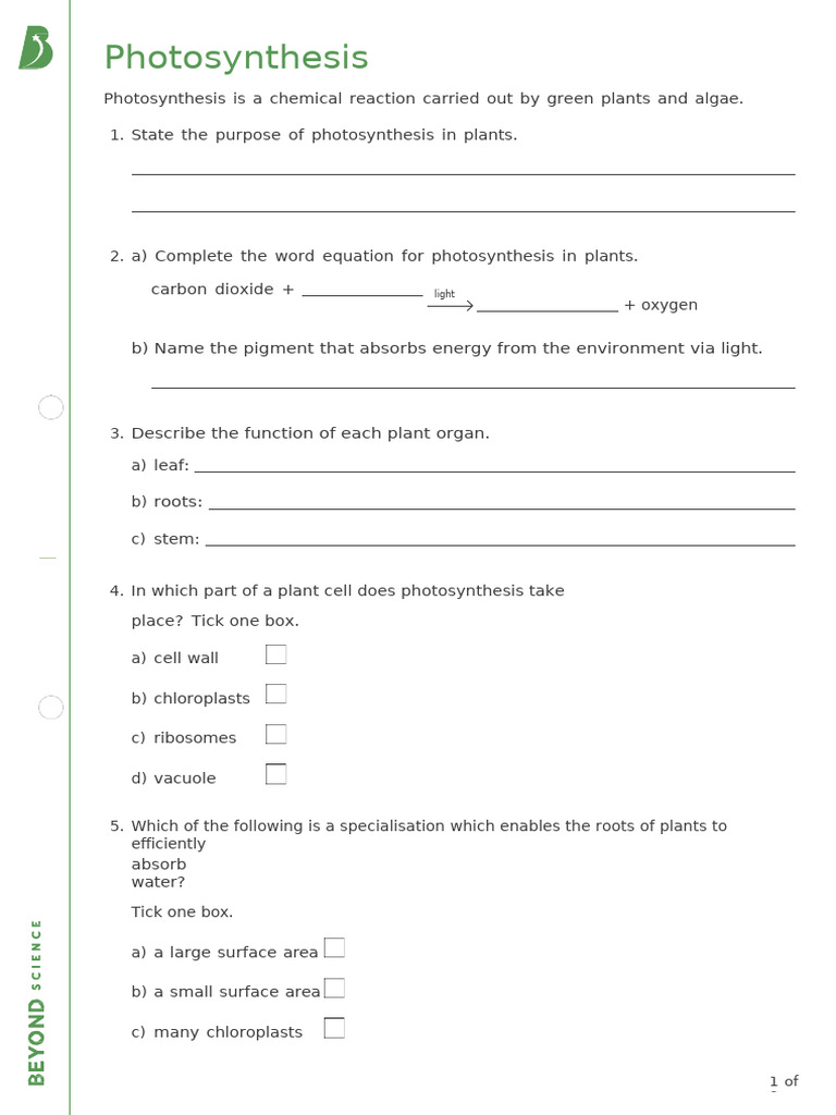 Photosynthesis Worksheet | PDF