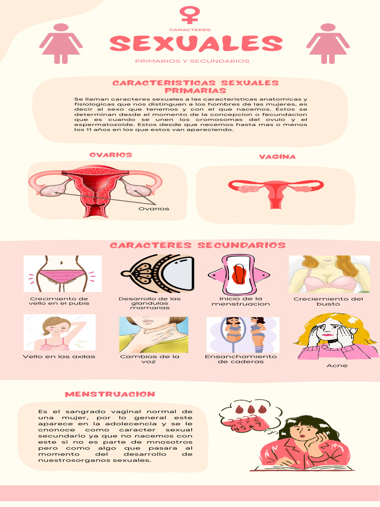 Caracteres Sexuales Femeninos | PDF