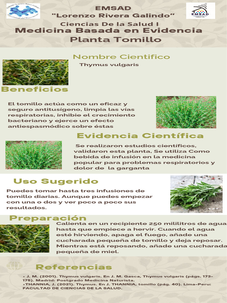 Beneficios del Tomillo en Salud | PDF
