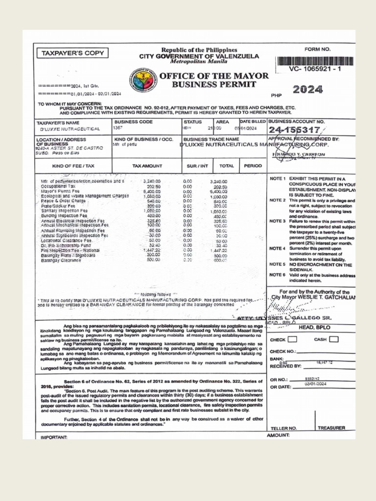 Dluxx Mayors Permit 2024 | PDF