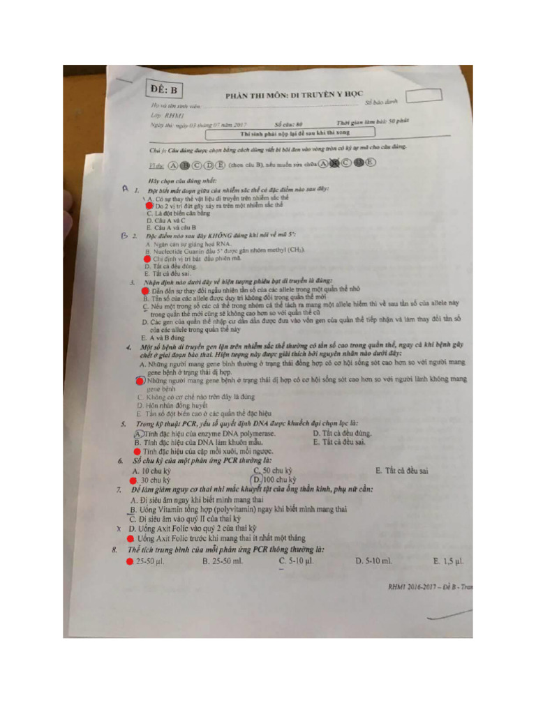 Dtyh RHM 2016 2017 | PDF