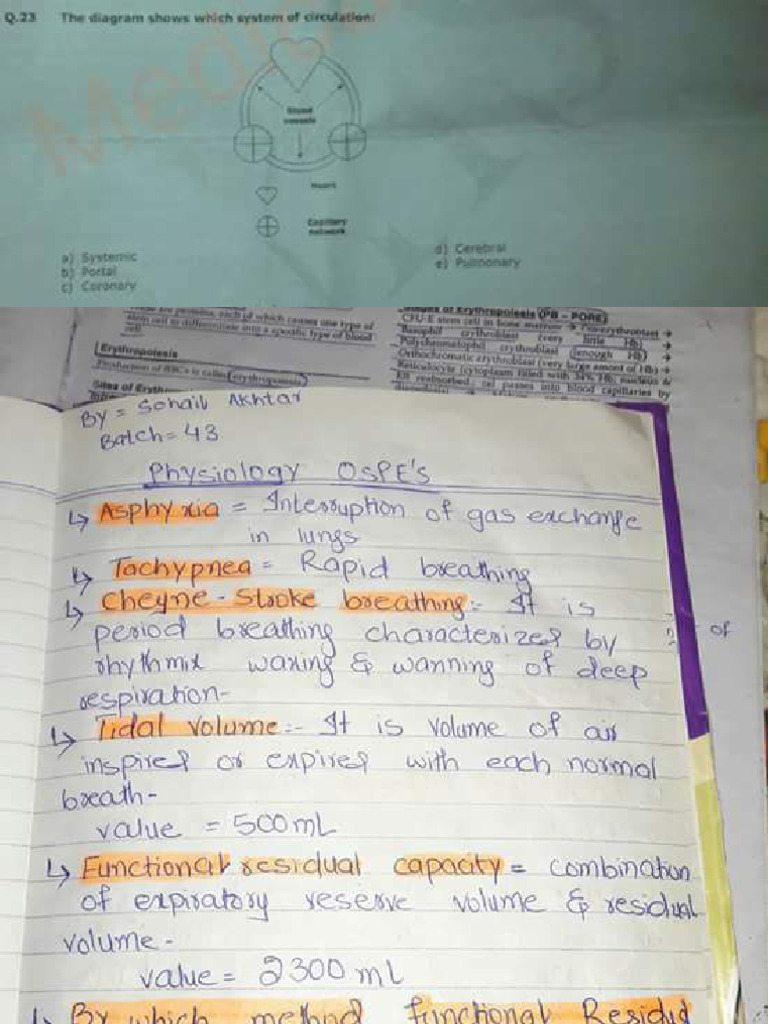 Physiology Ospe | PDF