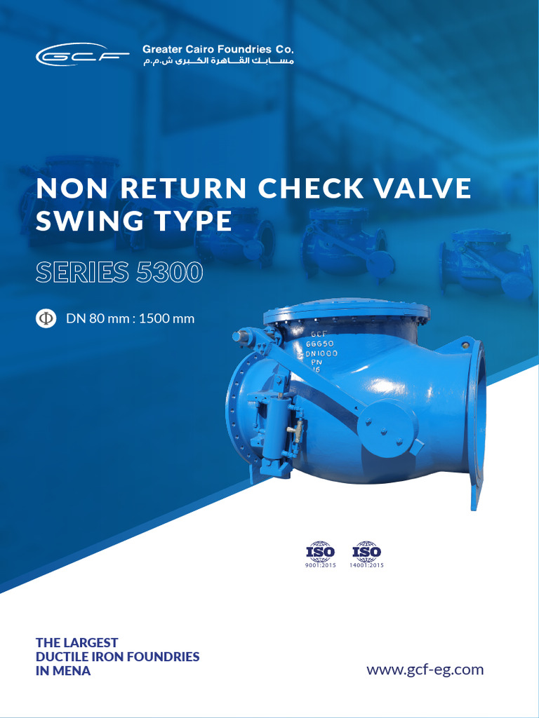 GCF-Non return check valve | PDF | Valve | Pipe (Fluid Conveyance)