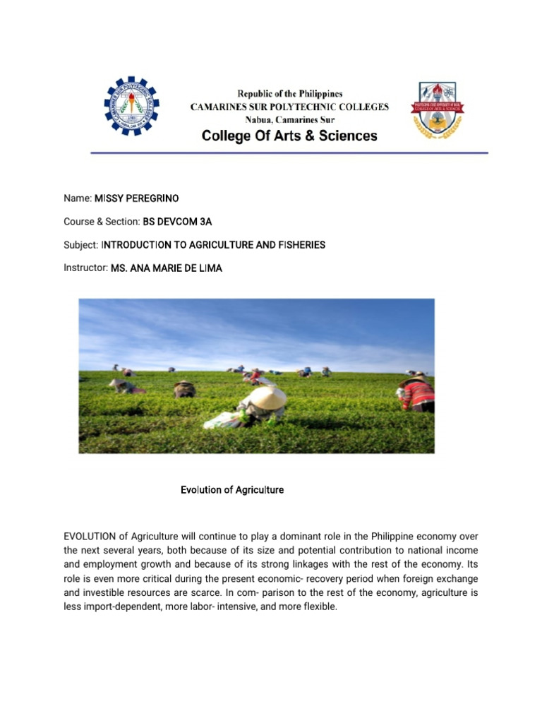 Peregrino Missy | PDF