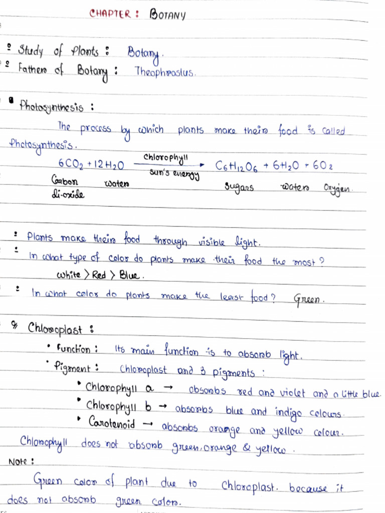 300) Botany (Handwritten Notes English - Biology) | PDF