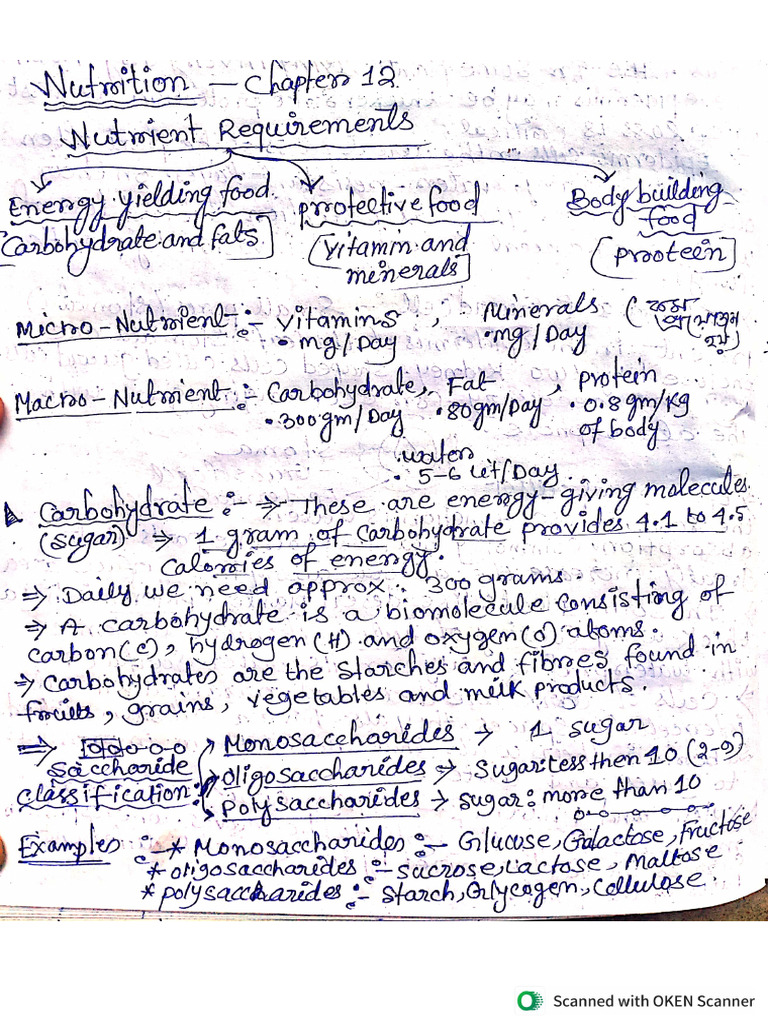 299) NUTRITION (Handwritten Notes English - Biology) | PDF
