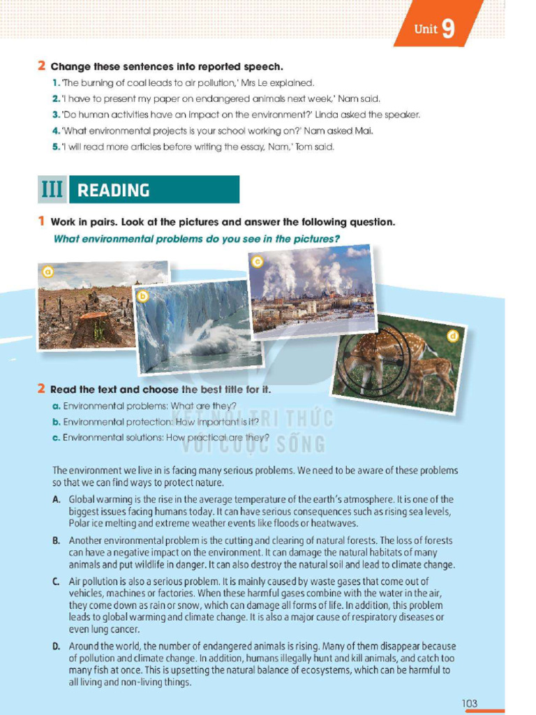 Unit 9 Reading Global Success 10 | PDF