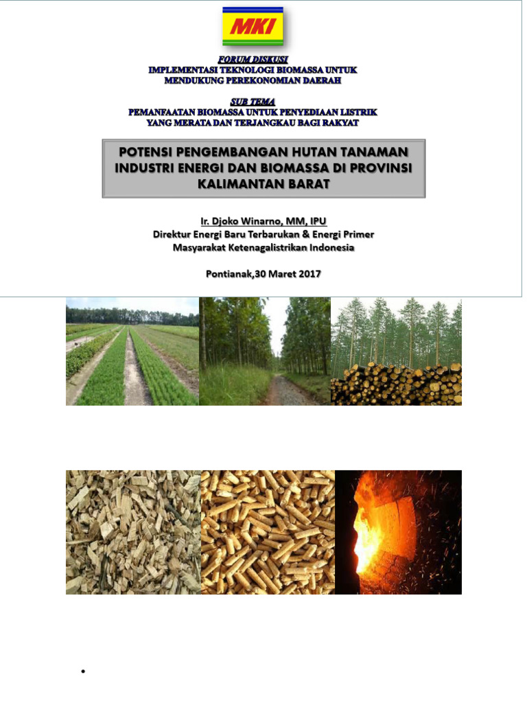 2 - Djoko Winarno PAPARAN HUTAN TANAMAN INDUSTRI ENERGI & BIOMASS ...