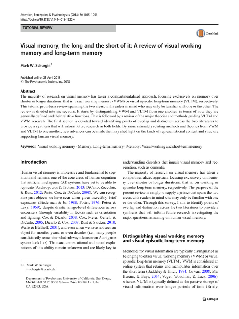 Visual Working Memory Vwm Pdf Recall Memory Memory 6567