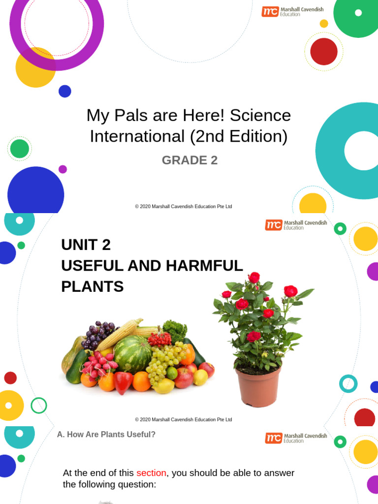 Understanding Useful and Harmful Plants | PDF | Plants | Botany