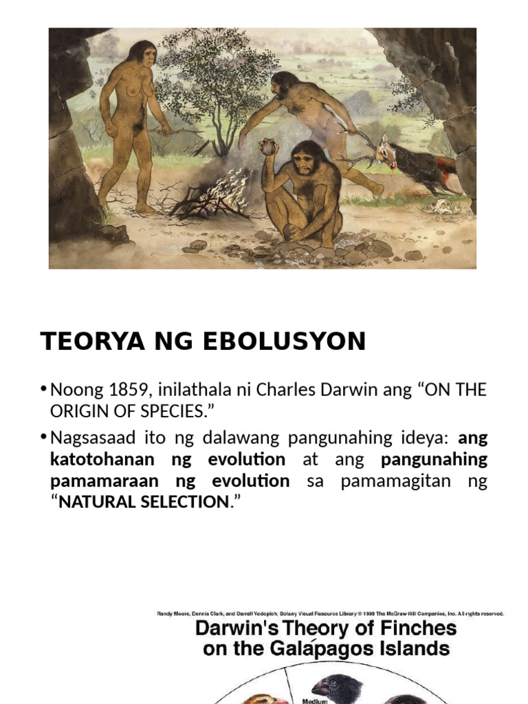 2 Ebolusyon | PDF