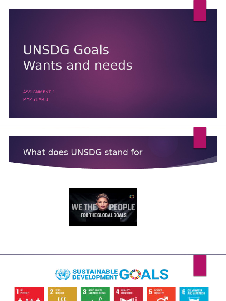 Assignment 1 UNSDG Persuasive Essay | PDF