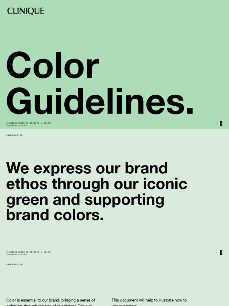 Clinique Color Guidelines Overview | PDF | Graphic Design | Color