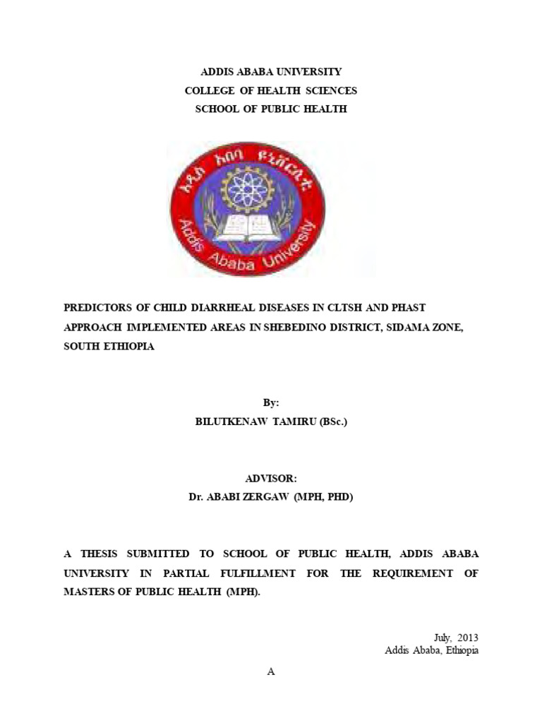 Bilutkenaw Tamiru | PDF | Wash | Sanitation