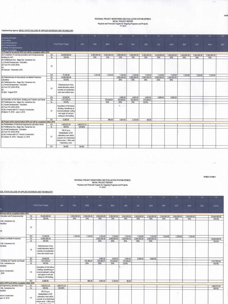 Rpmes Form 1 Fy 2019 | PDF