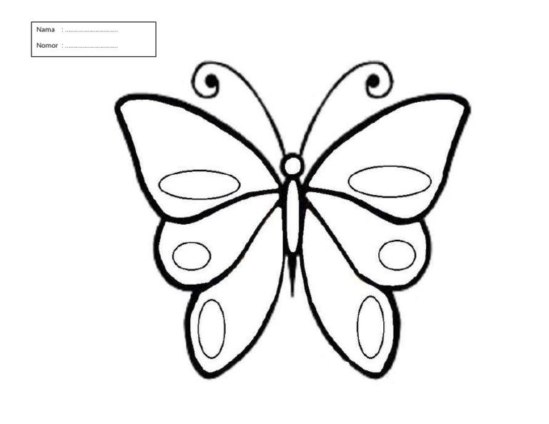 Gambar Kupu2 | PDF
