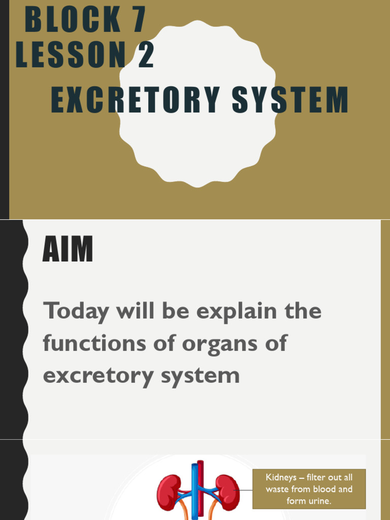 Block 7 Lesson 2_Science 4 2021 | PDF