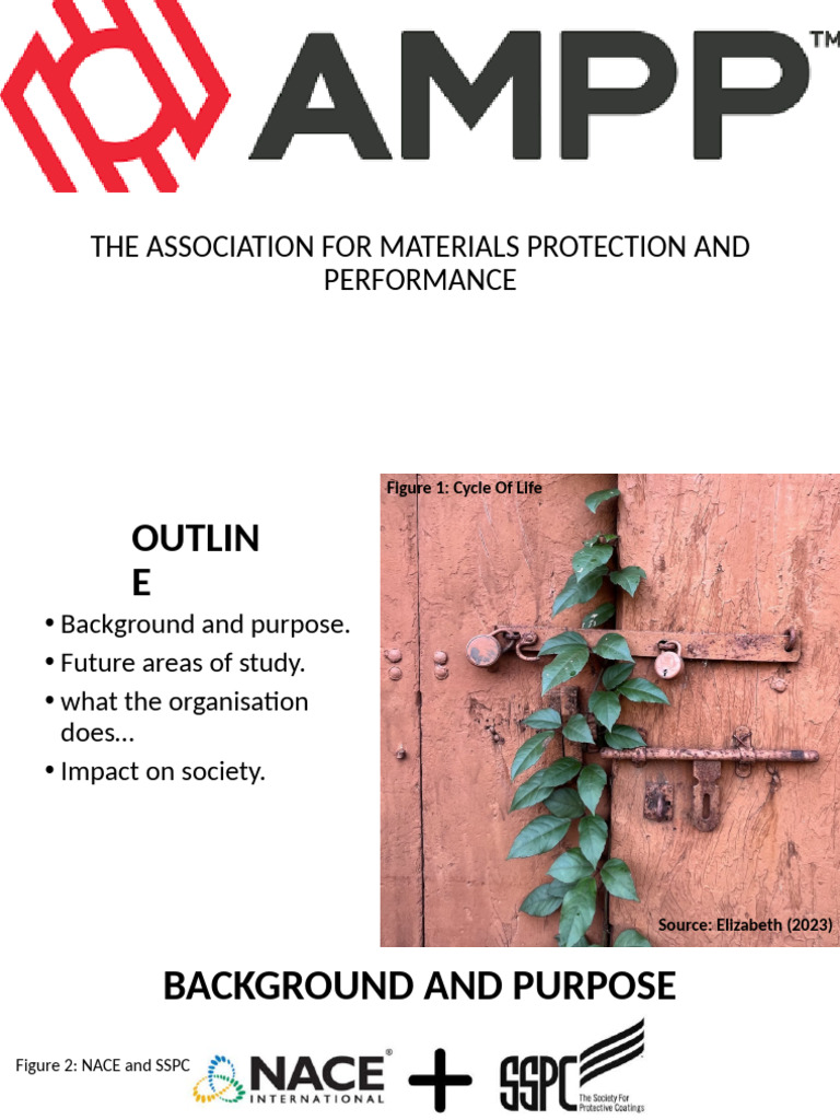 AMPP Presentation Re | PDF | Fossil Fuels | Petroleum Industry