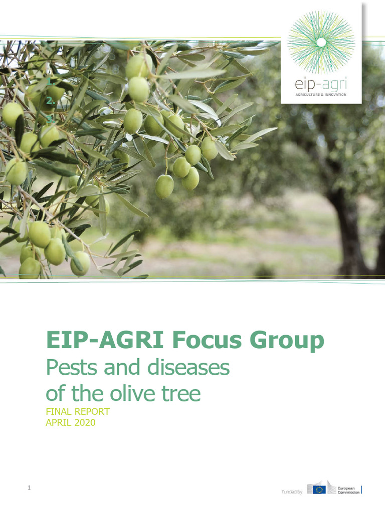 Eip-Agri FG Pests Diseases Olive Tree Final Report 2020 en | PDF | Agriculture | Pest (Organism)