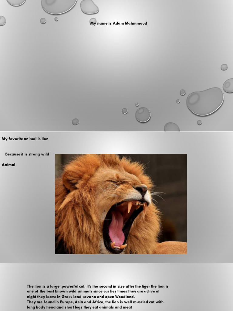 Lion | PDF