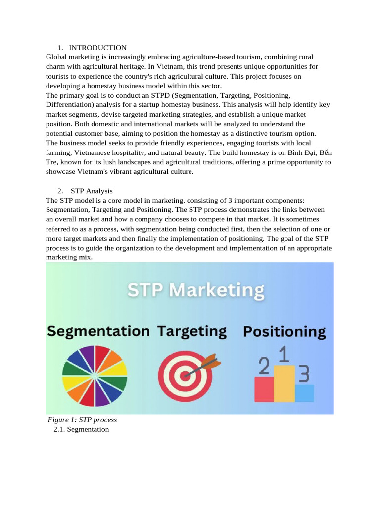 Figure 1: STP Process | PDF | Market Segmentation | Marketing