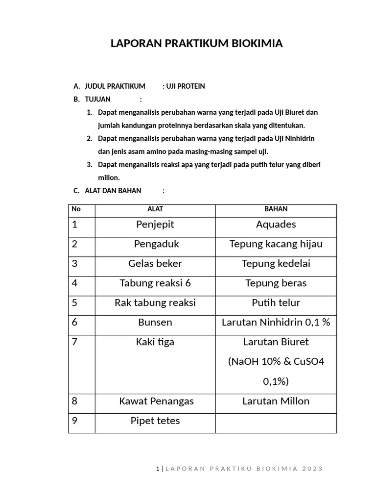 Laprak - Biokim. Uji Protein 1 | PDF
